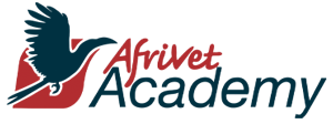 Afrivet Academy